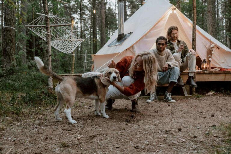 Essential Packing Tips for Glamping with Dog - CampingAttitude.com
