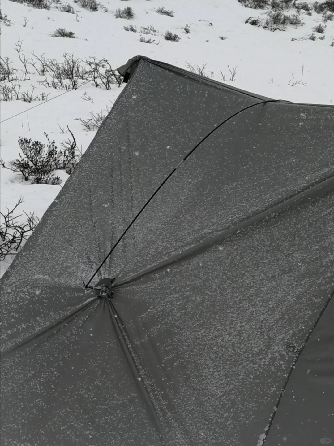How to Pack a Wet Tent? - CampingAttitude.com