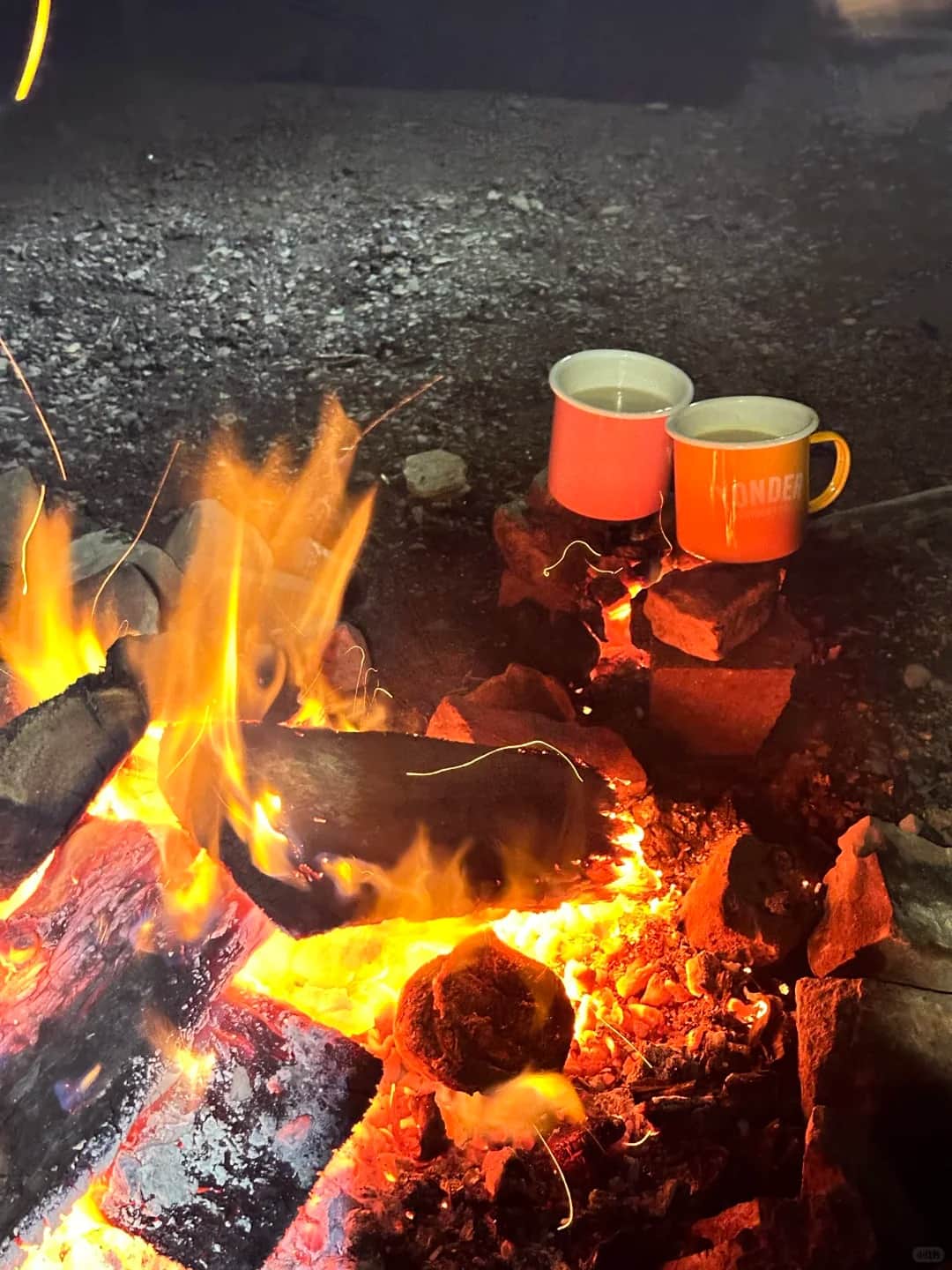 4 Types of Cooking On A Campfire - Boil, Bake, Fry, and Grill ...