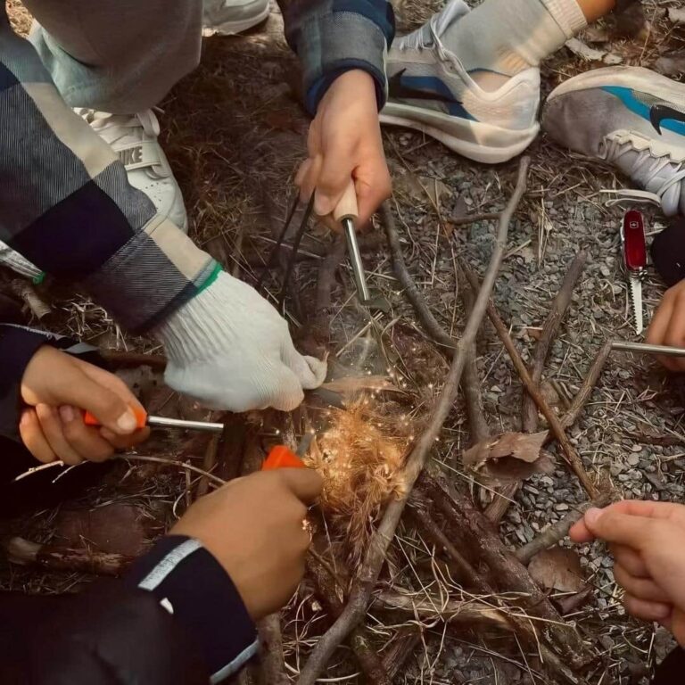 10 Primitive Survival Skills to Start a Fire in Wilderness ...