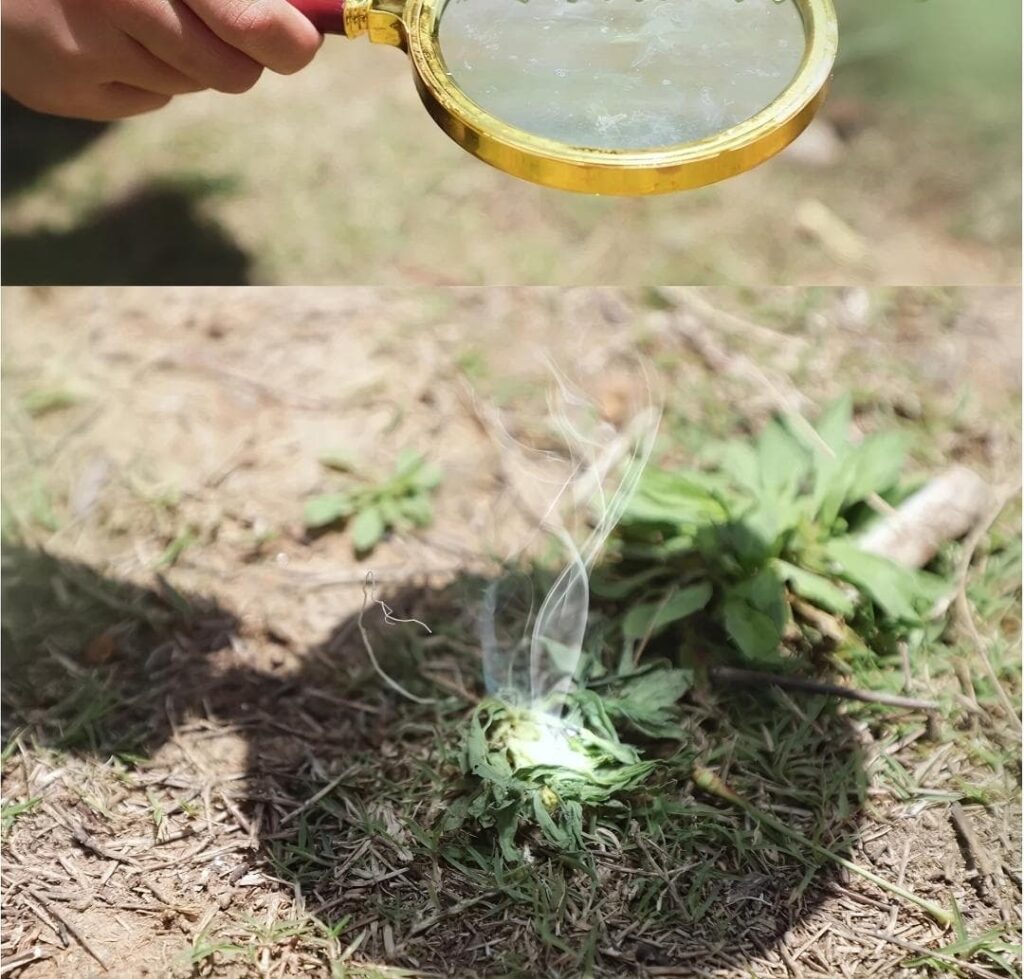 10 Primitive Survival Skills to Start a Fire in Wilderness ...