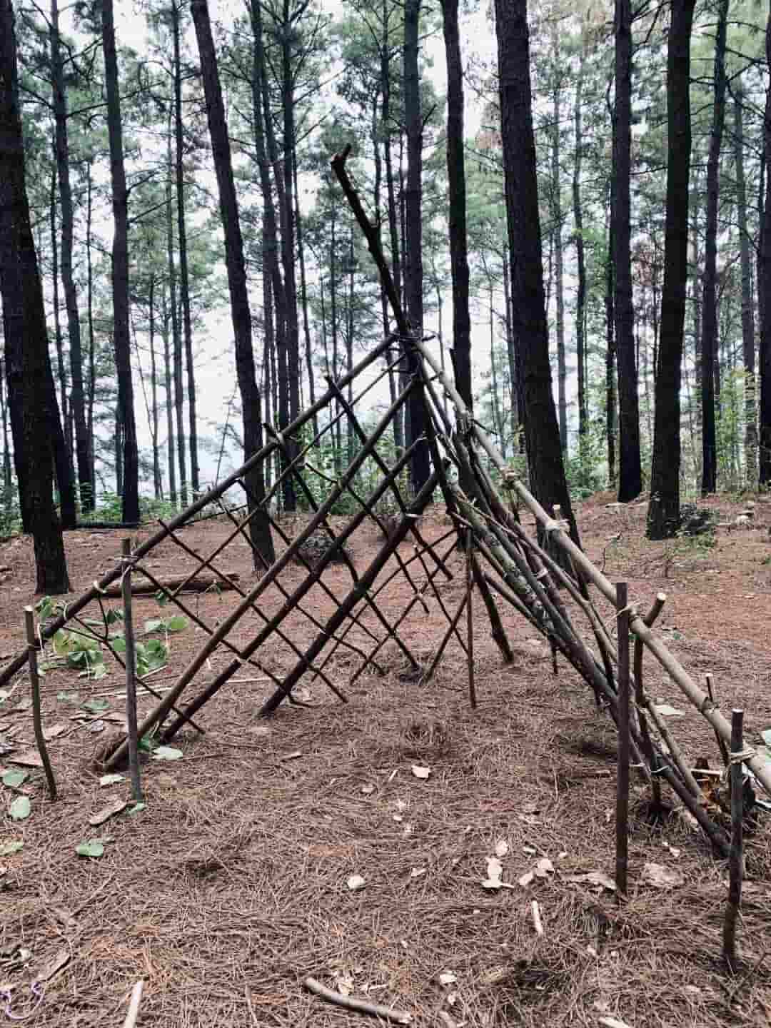 15 Survival Shelters Building Hacks in the Wilderness For Beginners ...