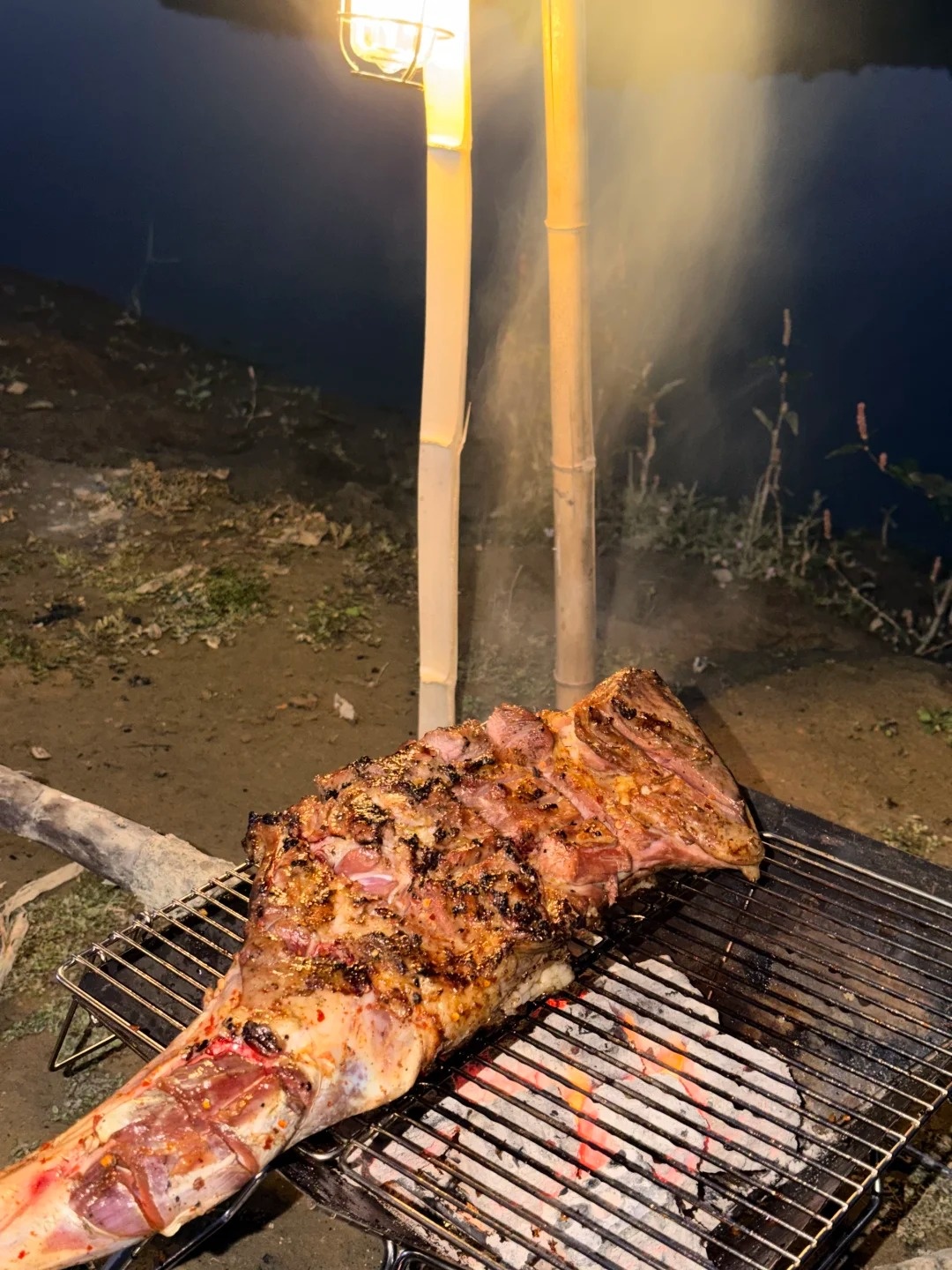 4 Types of Cooking On A Campfire - Boil, Bake, Fry, and Grill ...